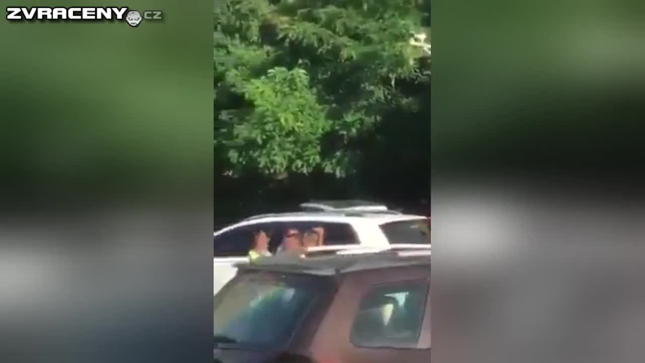 Zvrácený.cz - Výměna názorů