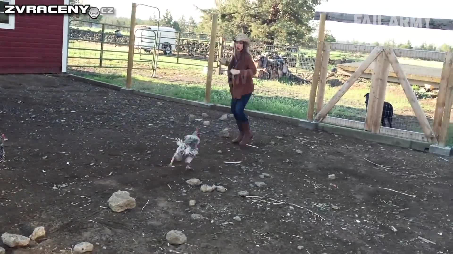 Zvrácený.cz - Fail kompilace