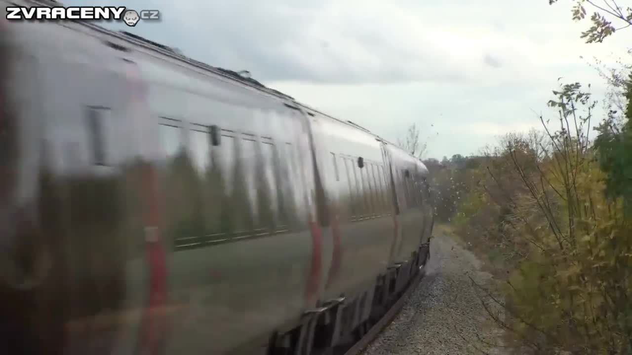 Zvrácený.cz - Vlak trefí holuba